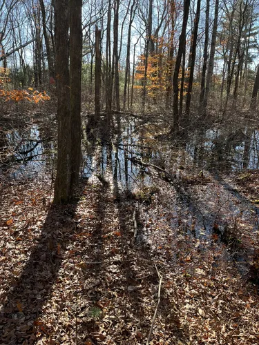 Best Hikes and Trails in Snake Den State Park | AllTrails