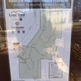 Rainbow Mountain Loop, Alabama - 1,687 Reviews, Map | AllTrails