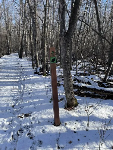 Best Walking Trails in Beaudry Provincial Park | AllTrails
