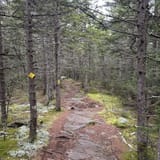 Mount Morgan and Mount Percival Loop, New Hampshire - 3,472 Reviews ...