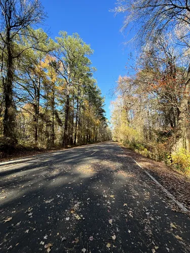Best Trail Running Trails in Great Dismal Swamp National Wildlife ...