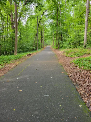 10 Best Walking Trails in Spartanburg | AllTrails
