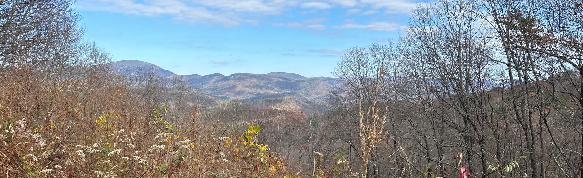 Chestatee Overlook Ridge Trail, Georgia - 15 Reviews, Map | AllTrails