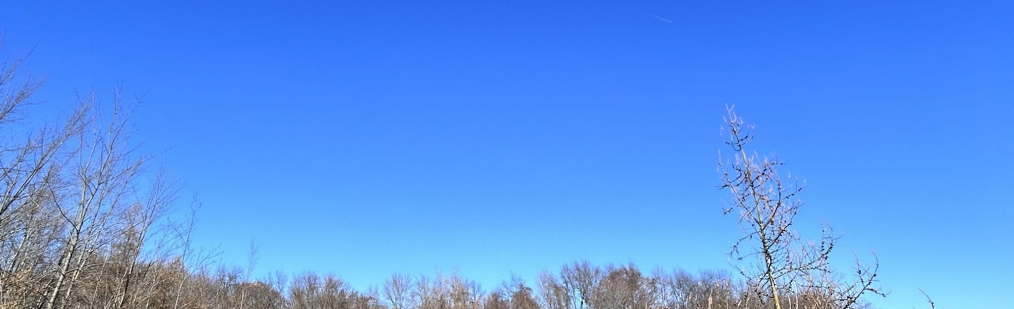 Mud Lake Bog, Michigan - 22 Reviews, Map | AllTrails