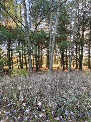 Best Easy Trails in Norma Johnson Center | AllTrails