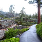 Frazier Falls Trail, California - 288 Reviews, Map | AllTrails