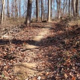 Hashawha Loop Trail, Maryland - 968 Reviews, Map | AllTrails