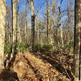 Mooween State Park Loop , Connecticut - 387 Reviews, Map | AllTrails