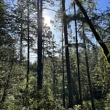 Bootjack Loop, California - 1,715 Reviews, Map | AllTrails