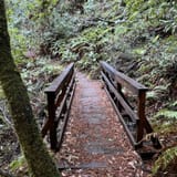 Bootjack Loop, California - 1,715 Reviews, Map | AllTrails