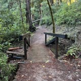 Bootjack Loop, California - 1,715 Reviews, Map | AllTrails
