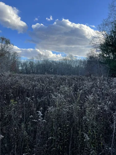 Best Hikes and Trails in Hewitt Farm | AllTrails