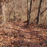 Hashawha Loop Trail, Maryland - 968 Reviews, Map | AllTrails