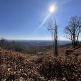 Windrock OHV Trail, Tennessee - 48 Reviews, Map | AllTrails