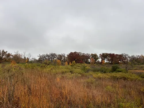 Best Hikes and Trails in Linn Nature Park | AllTrails