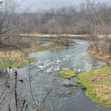 Welch Spring Trail, Missouri - 111 Reviews, Map | AllTrails