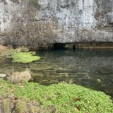 Welch Spring Trail, Missouri - 111 Reviews, Map | AllTrails