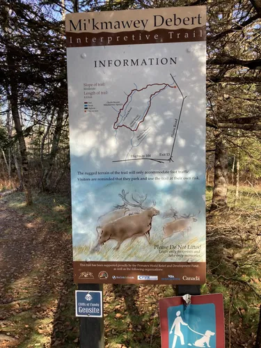 2023 Best Forest Trails in Debert | AllTrails