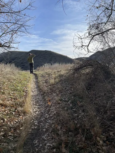 Best Hikes and Trails in Pavan Park | AllTrails