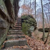 Turkey Run Outer Loop, Indiana - 634 Reviews, Map | AllTrails