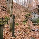 Turkey Run Outer Loop, Indiana - 634 Reviews, Map | AllTrails