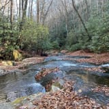 Hemlock Falls and Moccasin Creek Wildlife Trail, Georgia - 465 Reviews ...