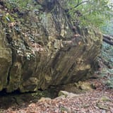 Hemlock Falls and Moccasin Creek Wildlife Trail, Georgia - 465 Reviews ...