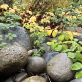 Old Flume Trail (Red Shack Trail), California - 697 Reviews, Map ...