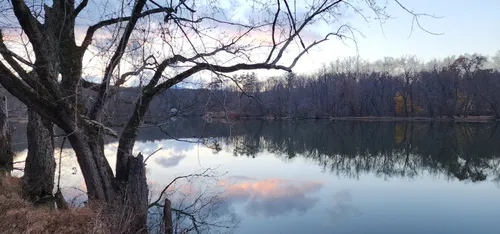 Best Hikes and Trails in Esopus Bend Nature Preserve | AllTrails