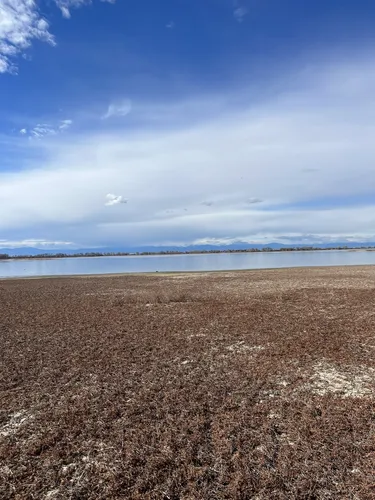 Best Hikes and Trails in Barr Lake State Park | AllTrails