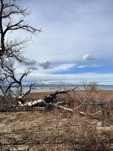 Best Hikes and Trails in Barr Lake State Park | AllTrails