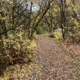 Quail Trail Loop, Utah - 287 Reviews, Map | AllTrails