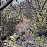 Quail Trail Loop, Utah - 287 Reviews, Map | AllTrails