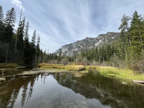 10 Best Hikes and Trails in Bitterroot National Forest | AllTrails