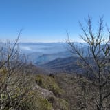 Mount Cammerer via Low Gap Trail, Tennessee - 1,871 Reviews, Map ...