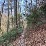 Torry Ridge Hike- Lower Sherando Lake via White Gap Trail, Virginia ...