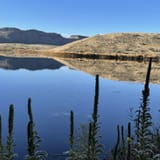 Dusty Lake to Ancient Lakes, Washington - 388 Reviews, Map | AllTrails
