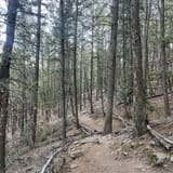 Independence Mountain Trail, Colorado - 4,853 Reviews, Map | AllTrails