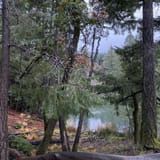 Lake Lagunitas, California - 645 Reviews, Map | AllTrails