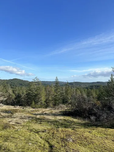 Best Kid Friendly Trails in Sooke Hills Wilderness Regional Park ...