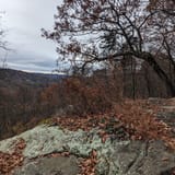 Vista Loop Trail, New Jersey - 2,594 Reviews, Map | AllTrails