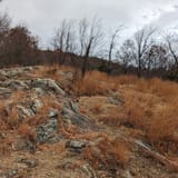 Vista Loop Trail, New Jersey - 2,594 Reviews, Map | AllTrails