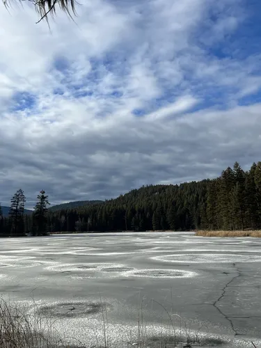 Best Hikes and Trails in Isobel Lake Recreation Site | AllTrails