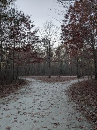 Best Hikes and Trails in Iron Bridge Park | AllTrails