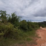 Suling Hill Loop, Penang, Malaysia - 83 Reviews, Map | AllTrails