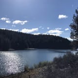 Jenkinson Lake Loop, California - 2,450 Reviews, Map | AllTrails