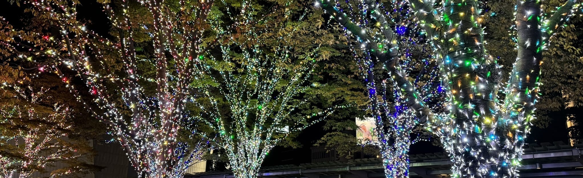 Tokyo City View - Mori Tower: 117 foto's - Tokio, Japan | Wandelen ...