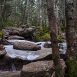 Little Haystack via Falling Waters Trail, New Hampshire - 1,527 Reviews ...