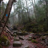 Little Haystack via Falling Waters Trail, New Hampshire - 1,527 Reviews ...