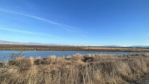 Best Hikes and Trails in Baylands Nature Preserve | AllTrails